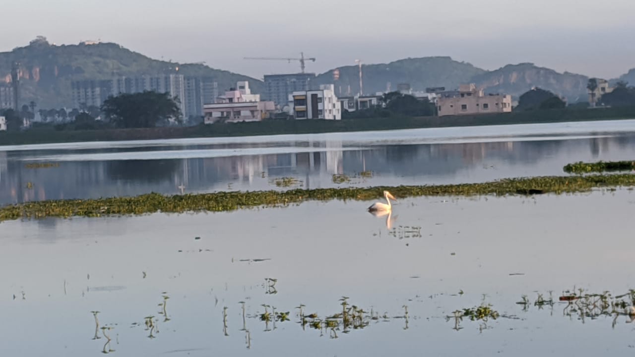 Cycling in Chennai – A ride to ottiyambakkam quarry – Dream, Believe ...